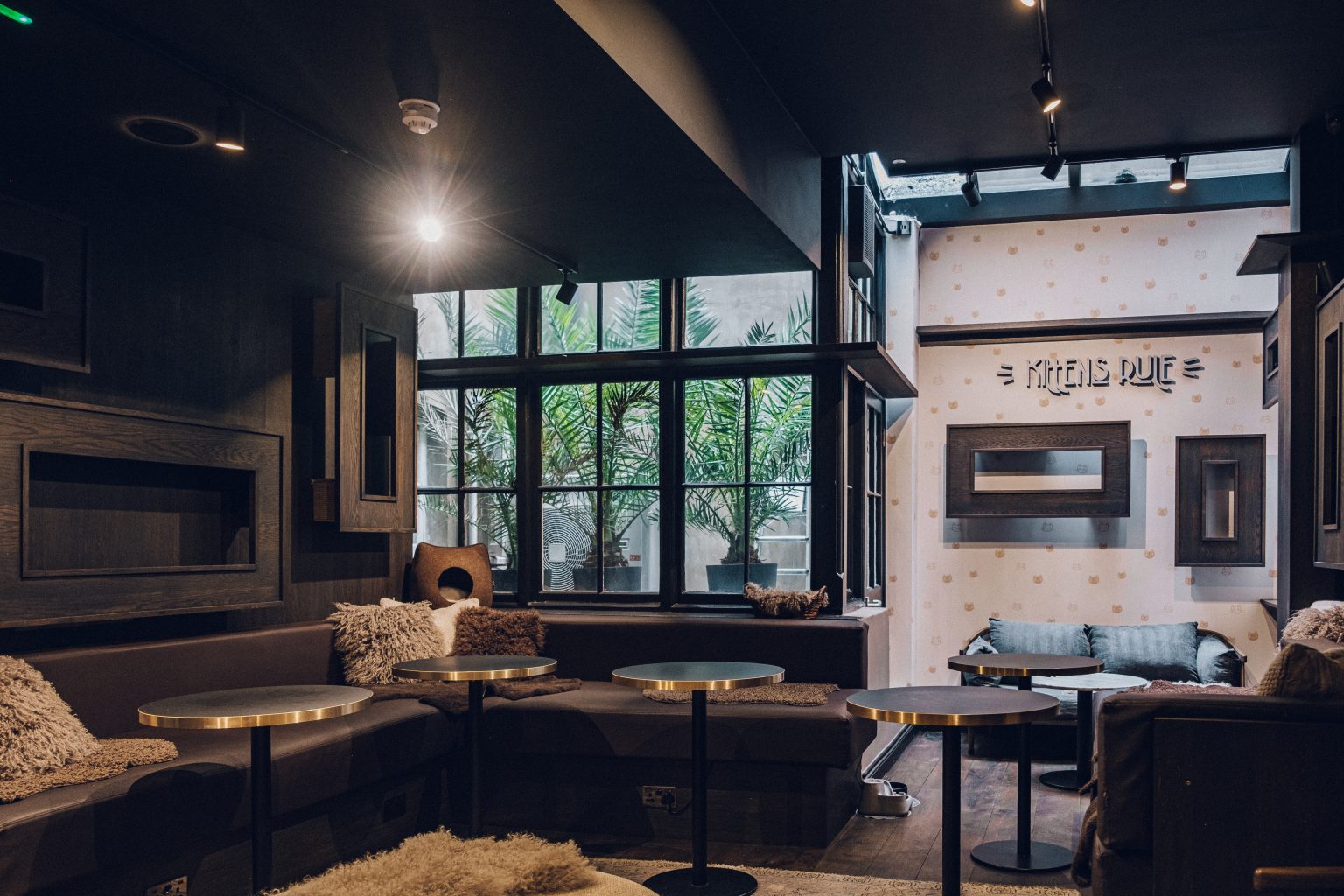 Marylebone - Java Whiskers