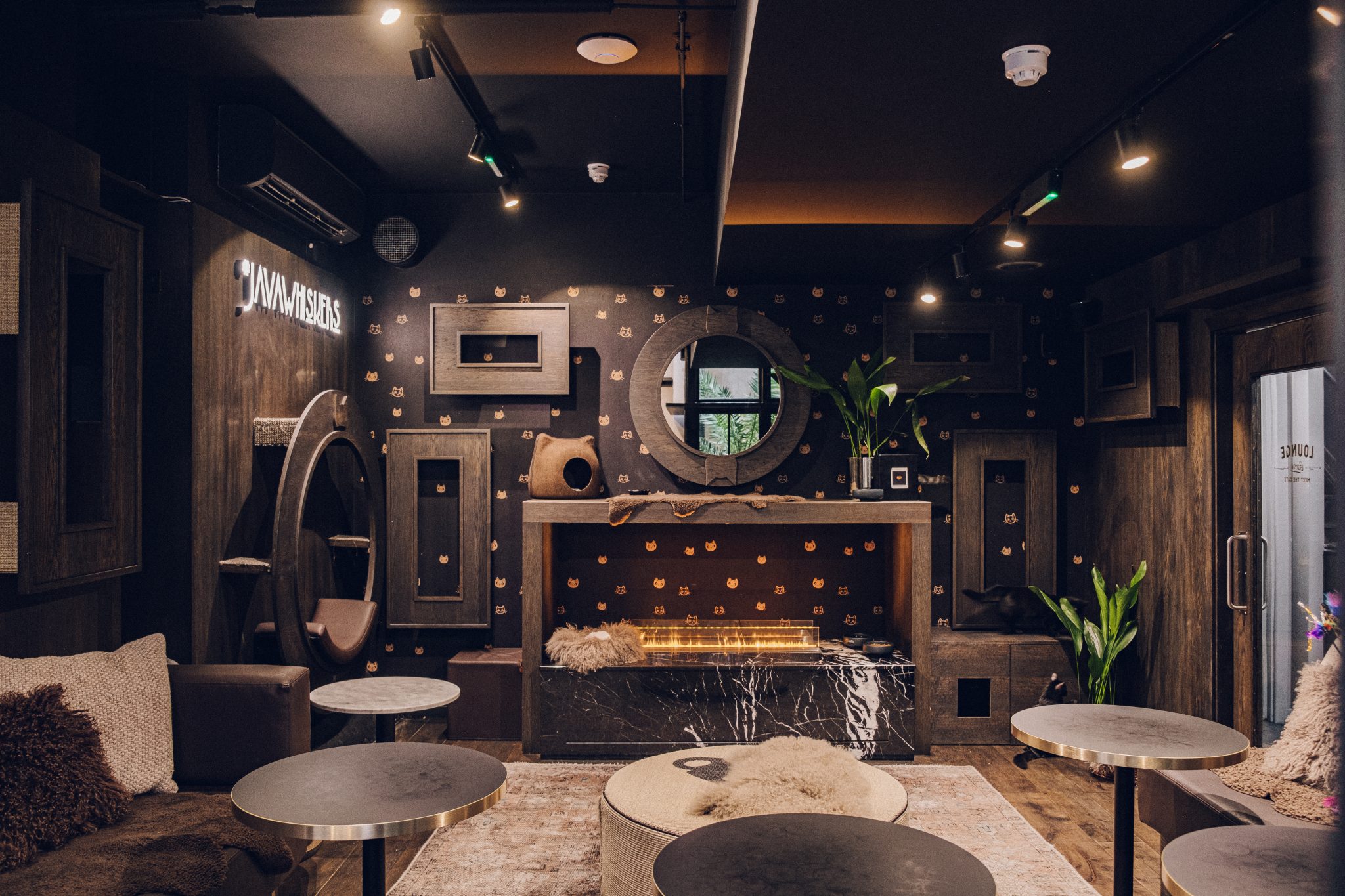 Marylebone - Java Whiskers