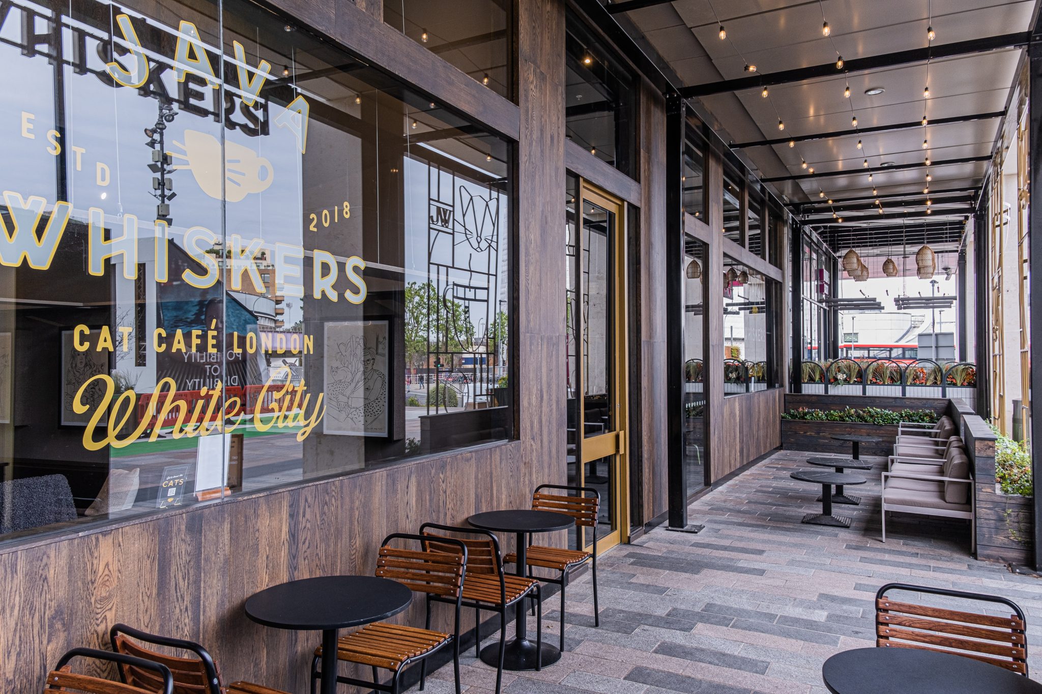 White City - Java Whiskers