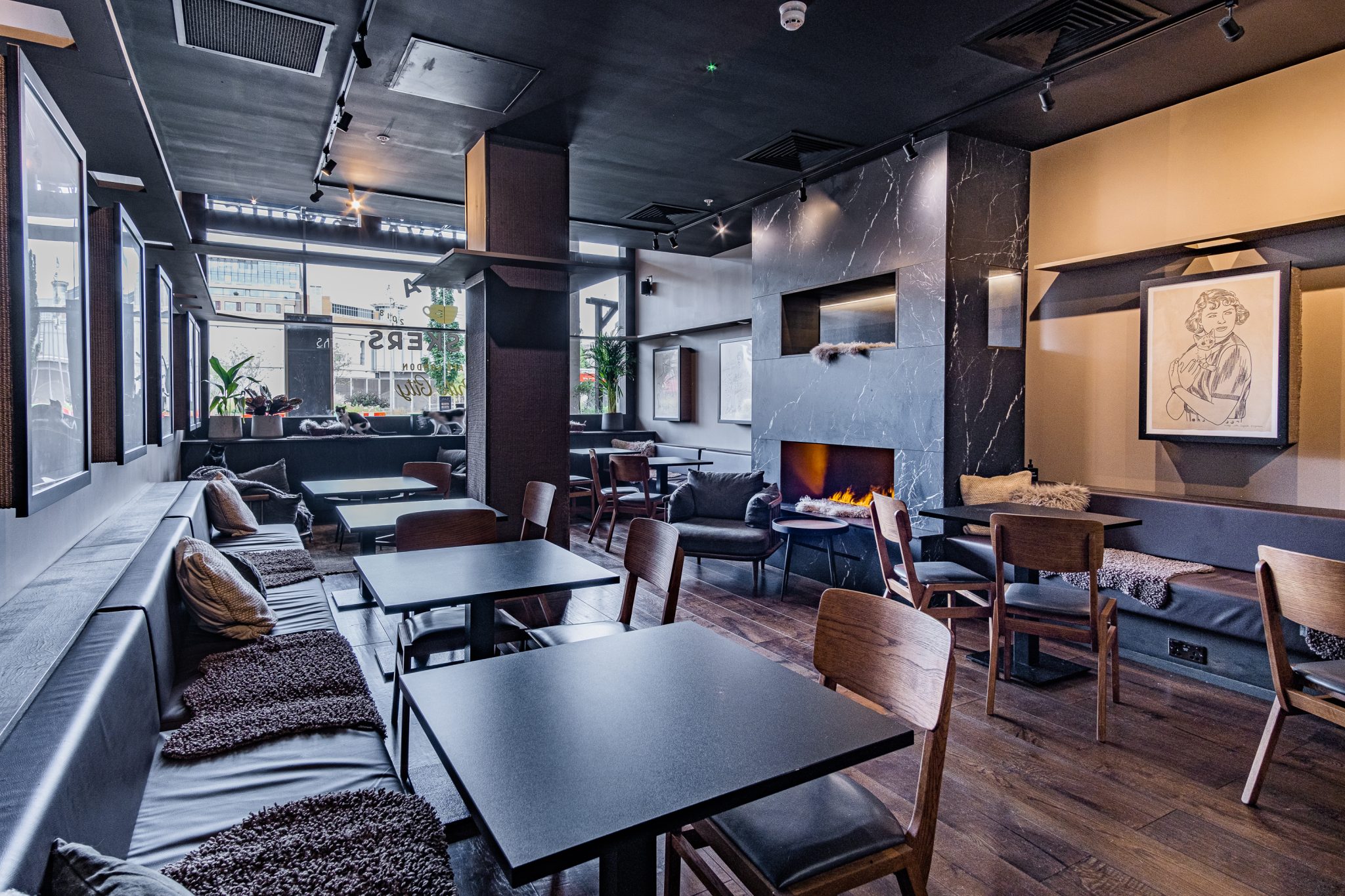 White City - Java Whiskers